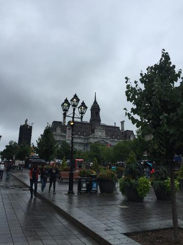 Le Saint Sulpice - Montréal | Réservation avec Hotels.com