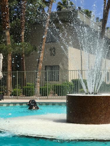 Book Alexis Park All Suite Resort in Las Vegas | Hotels.com