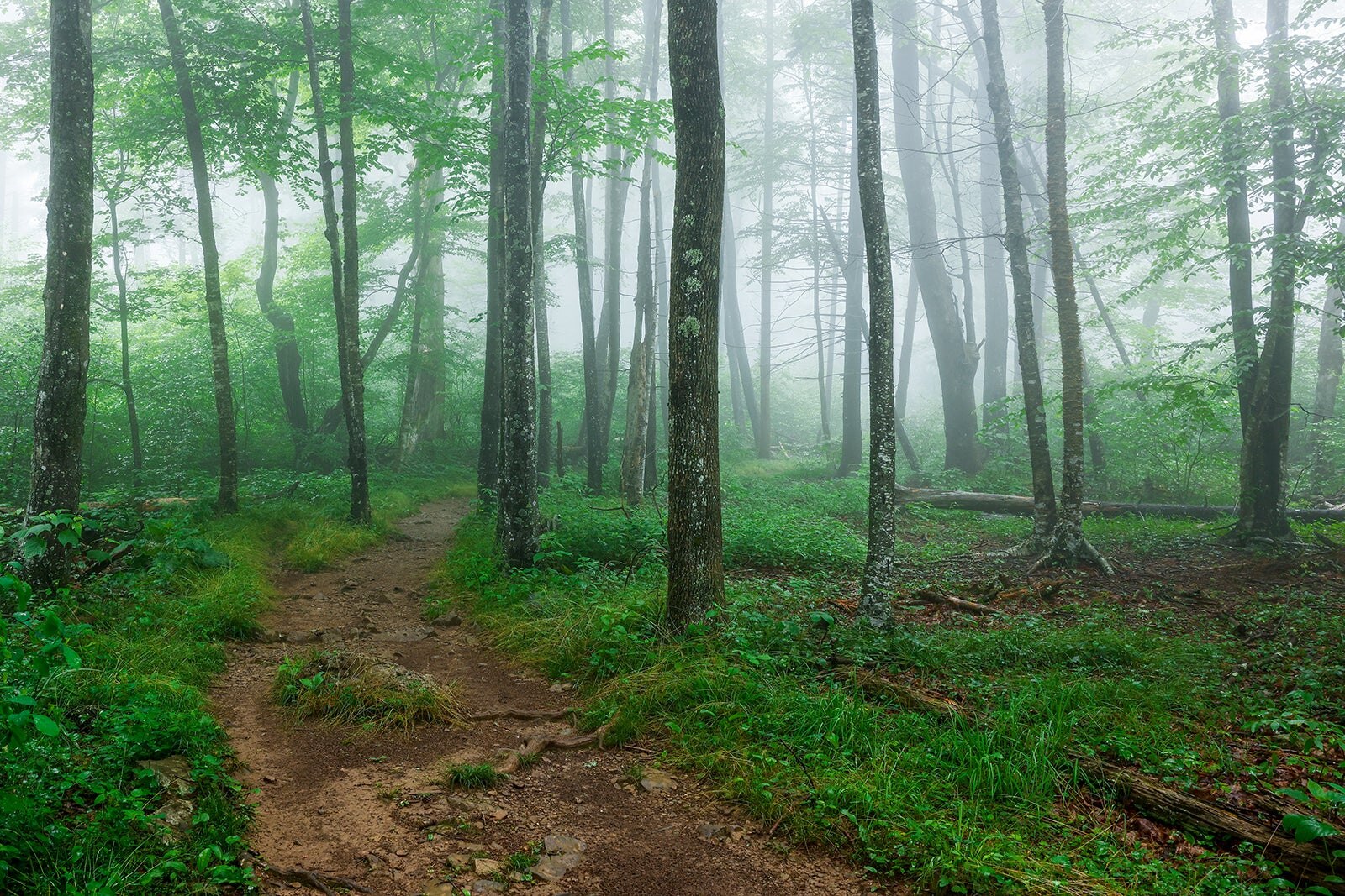 10 Most Interesting Battlefields in Virginia - Step Back into Virginia ...