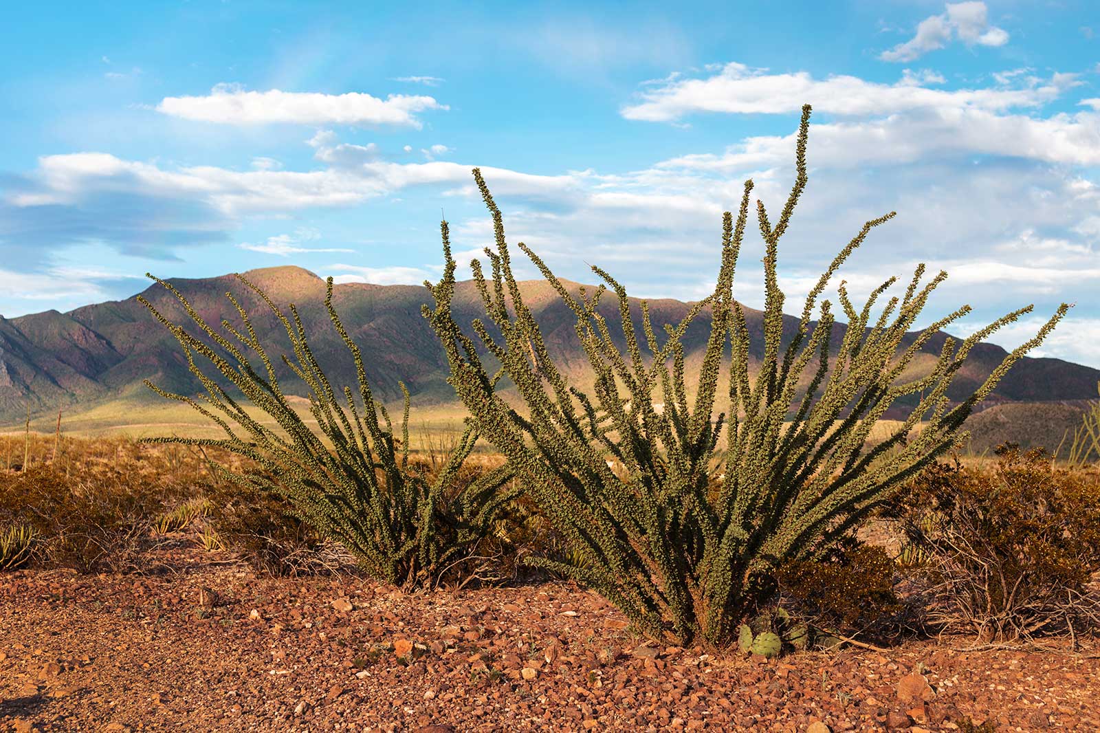 10 Best National Parks in Texas - Escape to Texas's Most Beautiful ...