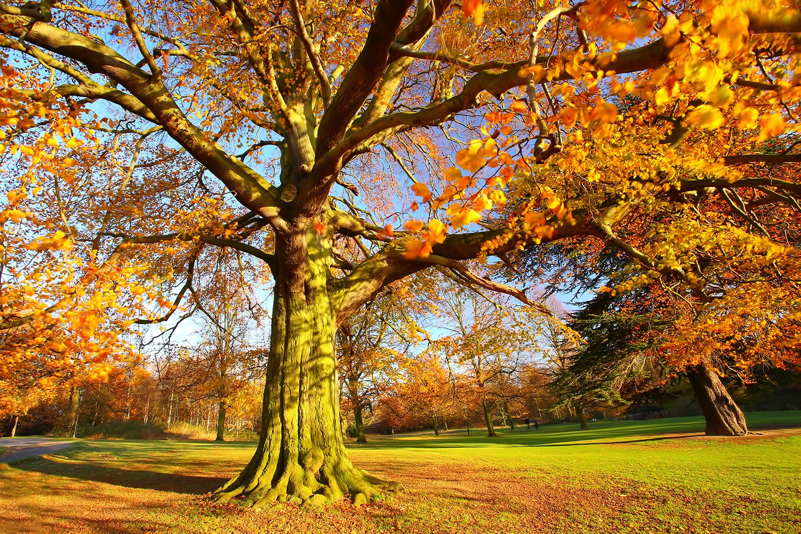 10 Best Things to Do in Durham - What is Durham Most Famous For? – Go ...