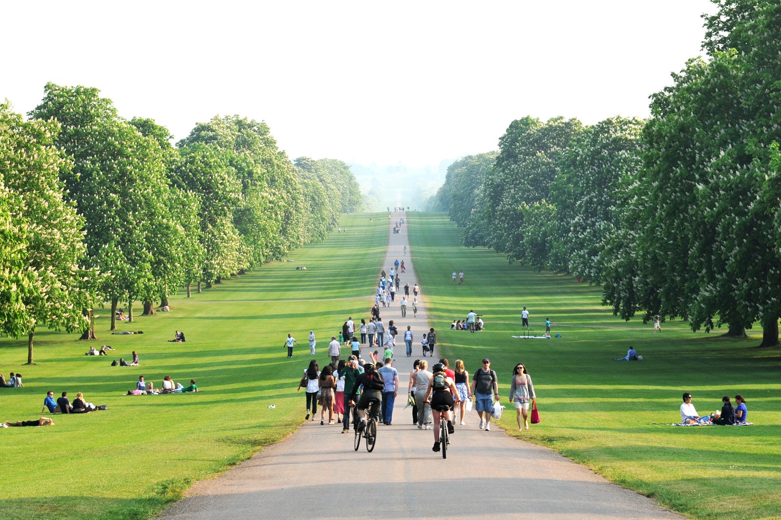 10 Best Things to Do After Dinner in Windsor - Where to Go in Windsor ...