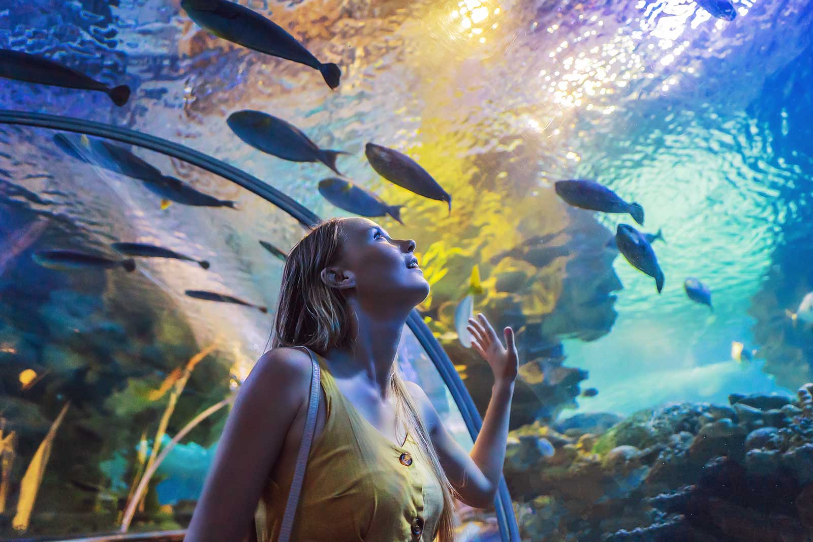 10 Best Things To Do In Sydney CBD What Is Sydney CBD Most Famous For 10-best-things-to-do-in-sydney-cbd-what-is-sydney-cbd-most-famous-for