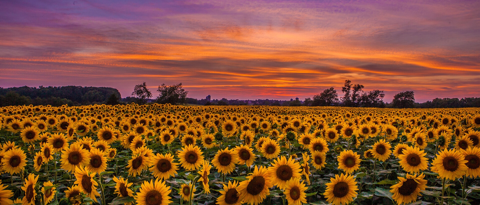 Somerset, New Jersey, Estados Unidos da América