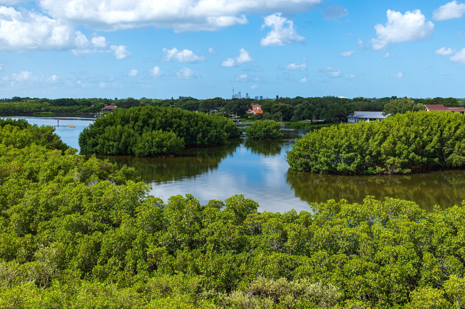 Weedon Island Preserve in St. Petersburg-Clearwater - Explore ...