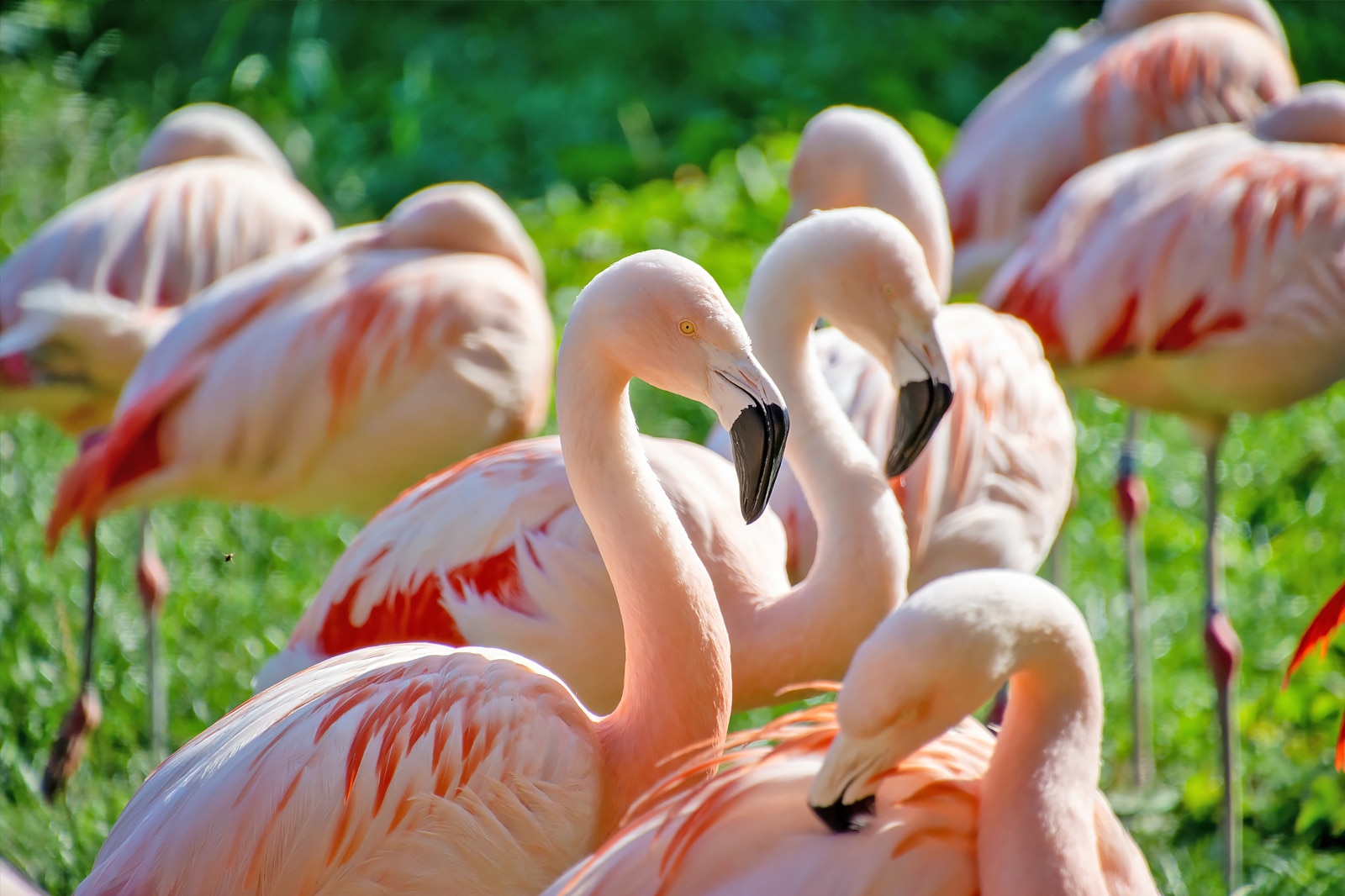 10 Best Family Things to Do in Belfast - Fun Places in Belfast to Take ...