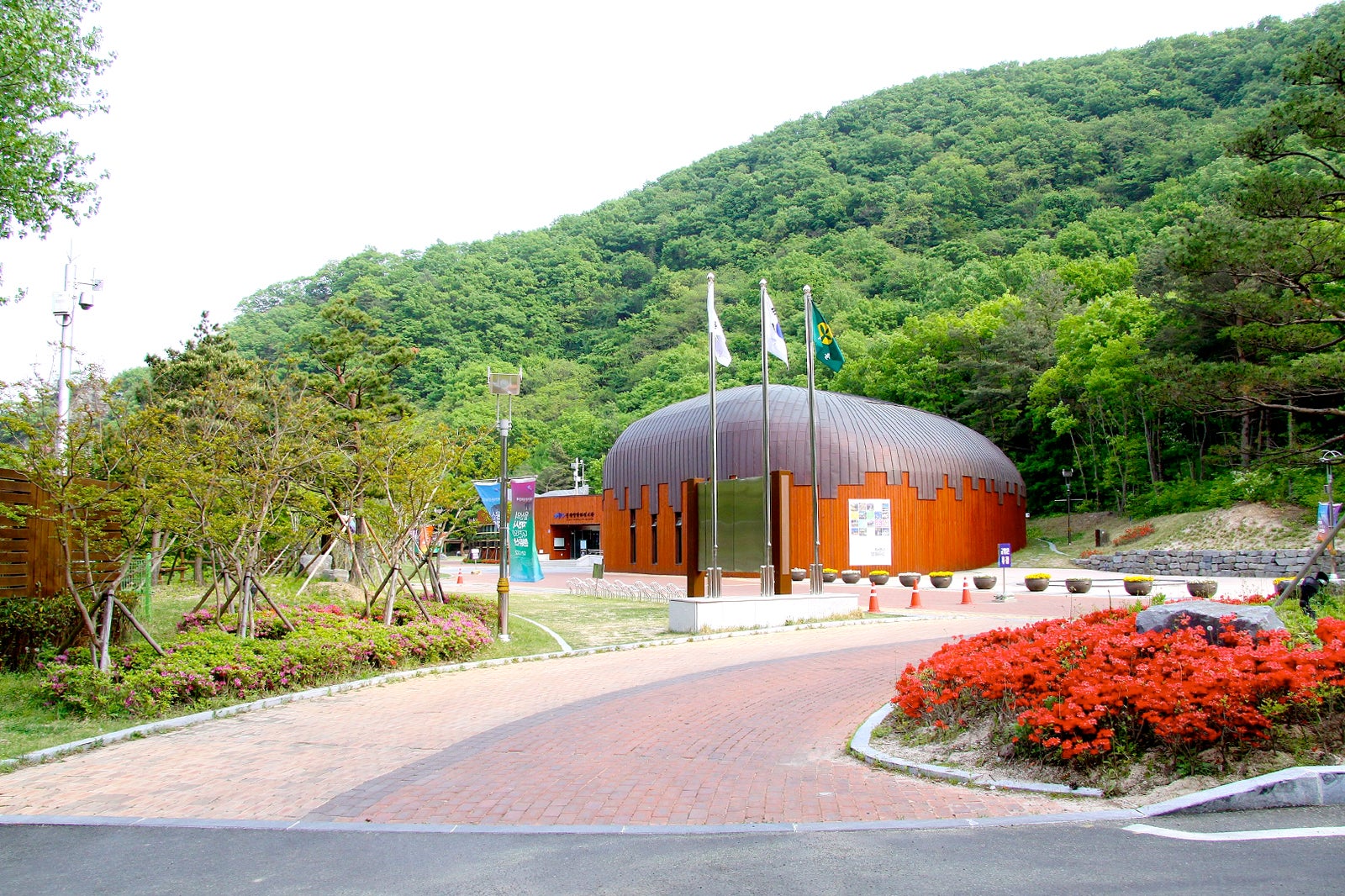 9 Best Things to Do in Ulsan - What is Ulsan Most Famous For? – Go Guides