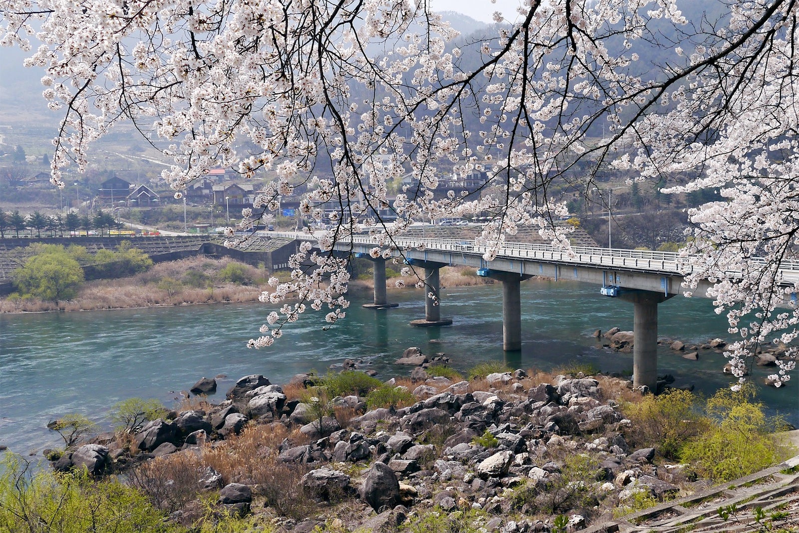 Top 8 Spots in Korea for Scenic Drives - 8 Beautiful Roads in Korea ...