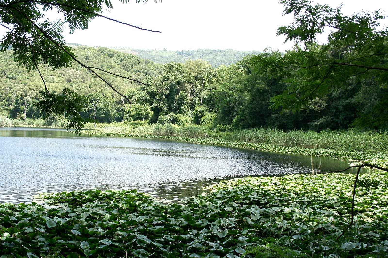 10 Best Natural Sights around Naples - Escape to Naples's Most ...