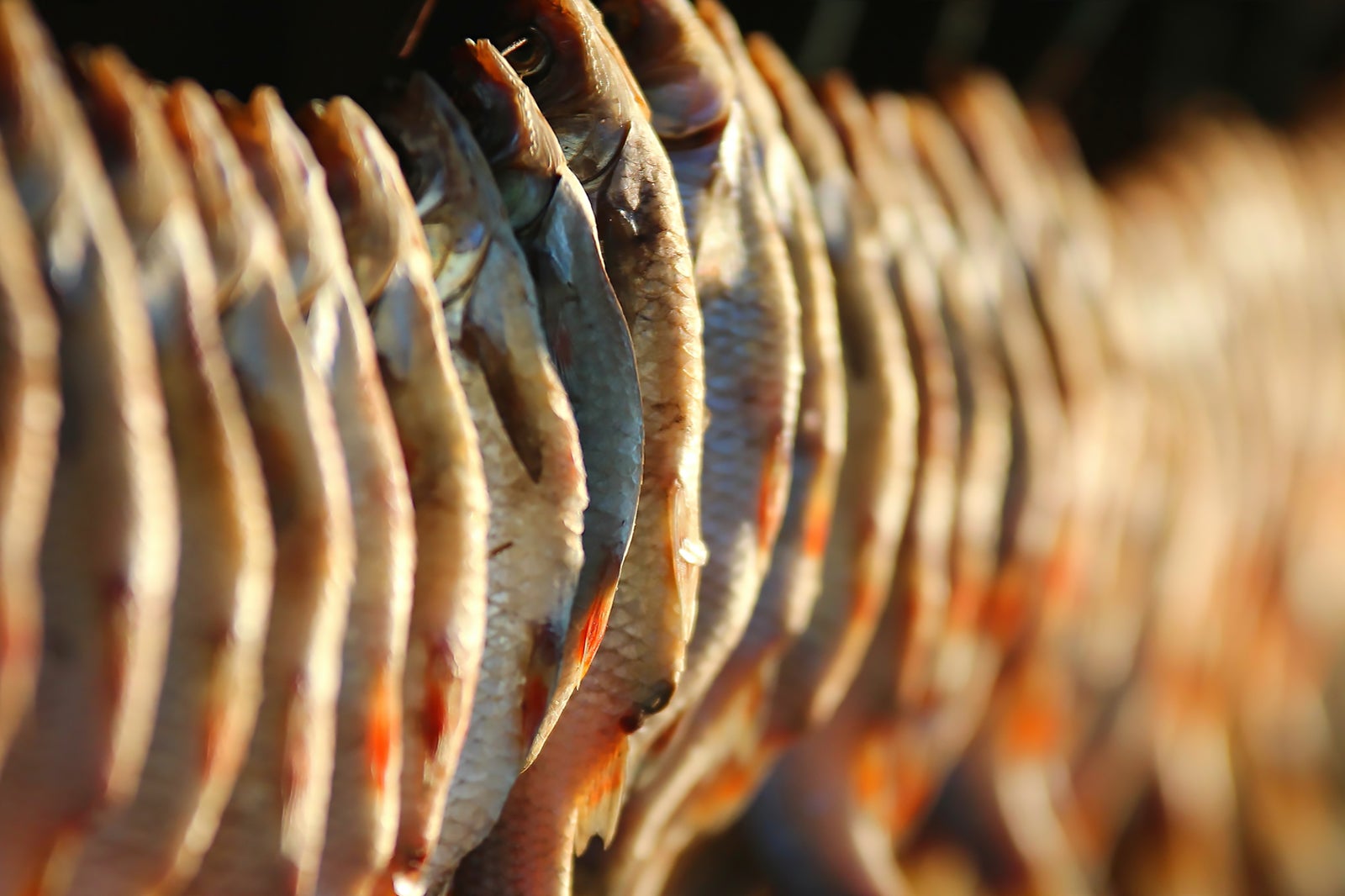 10 Best Local Dishes from Como - Famous Food Locals Love to Eat in Como ...