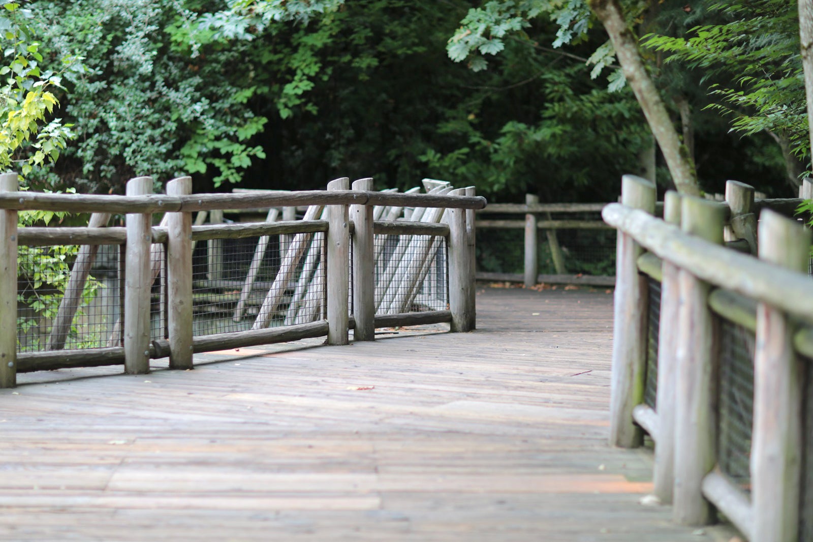 Woodland Park in Seattle - Enjoy Outdoor Fun by the Lake – Go Guides