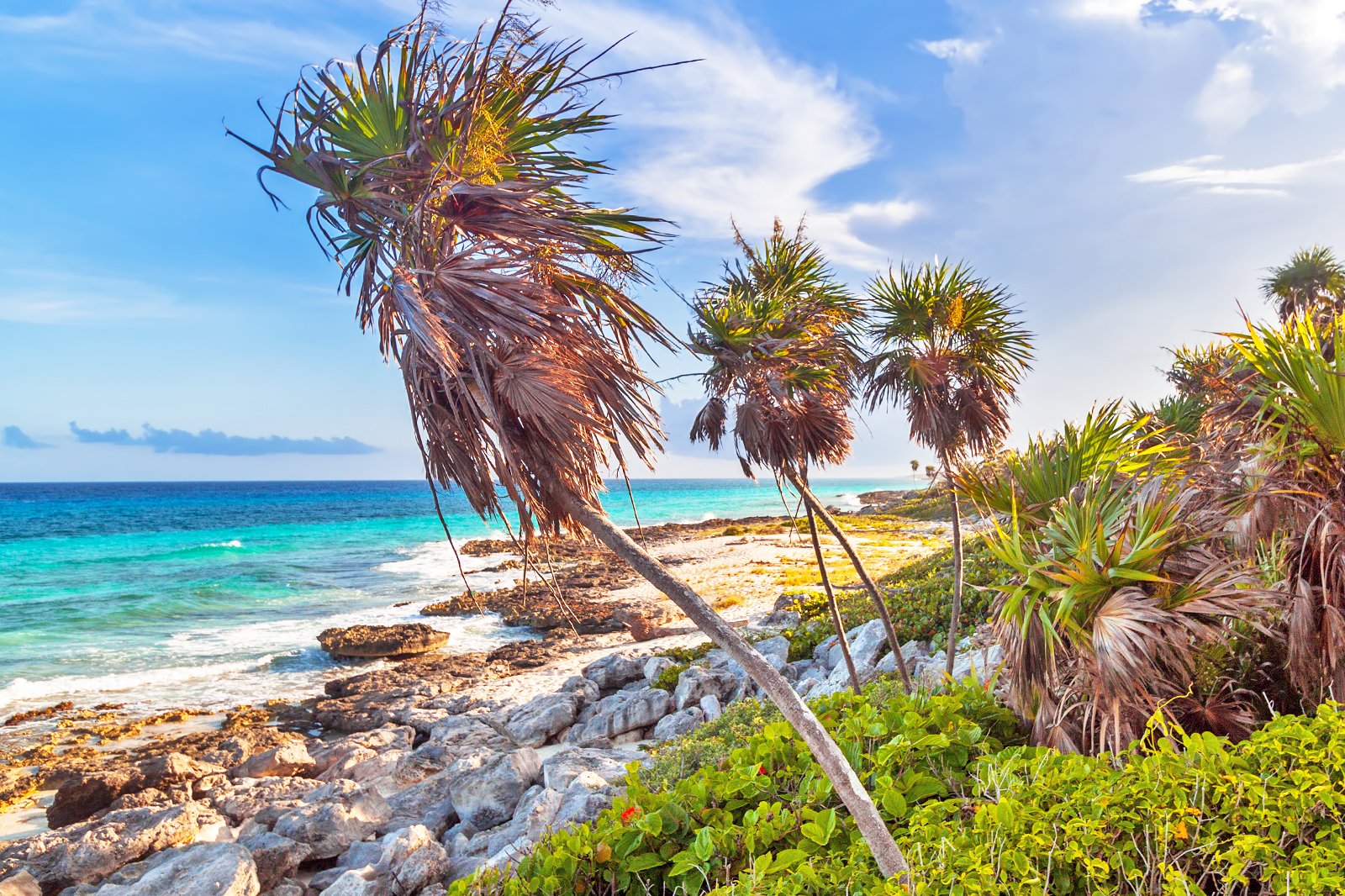 10 Best Things to Do in Playa del Carmen in a Day - What is Playa del ...