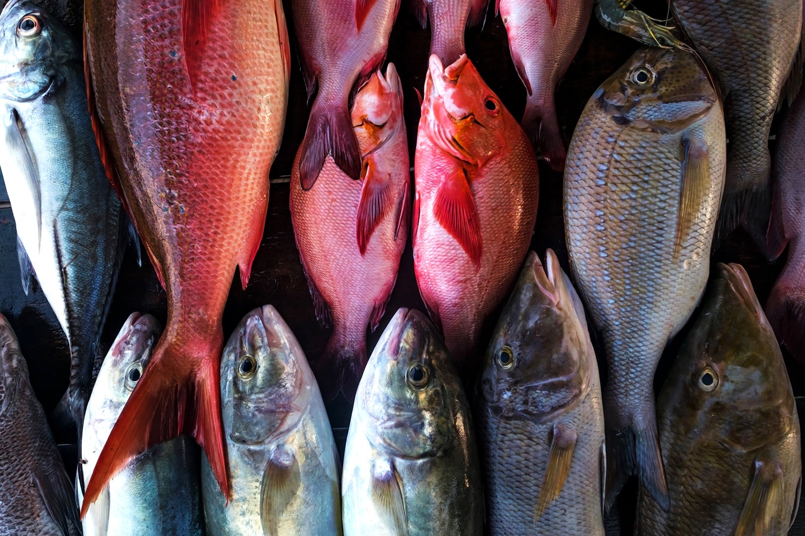 10 Best Places to Go Shopping in Cape Cod - Where to Shop in Cape Cod ...