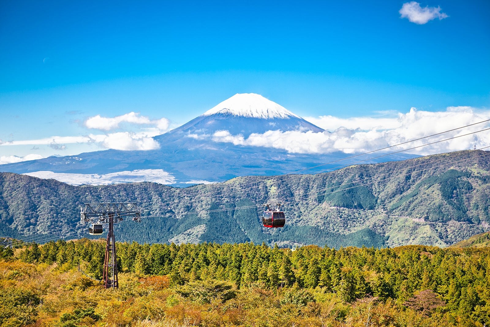 10 Best Family Things to Do in Fujinomiya - What to Do for Fun in ...