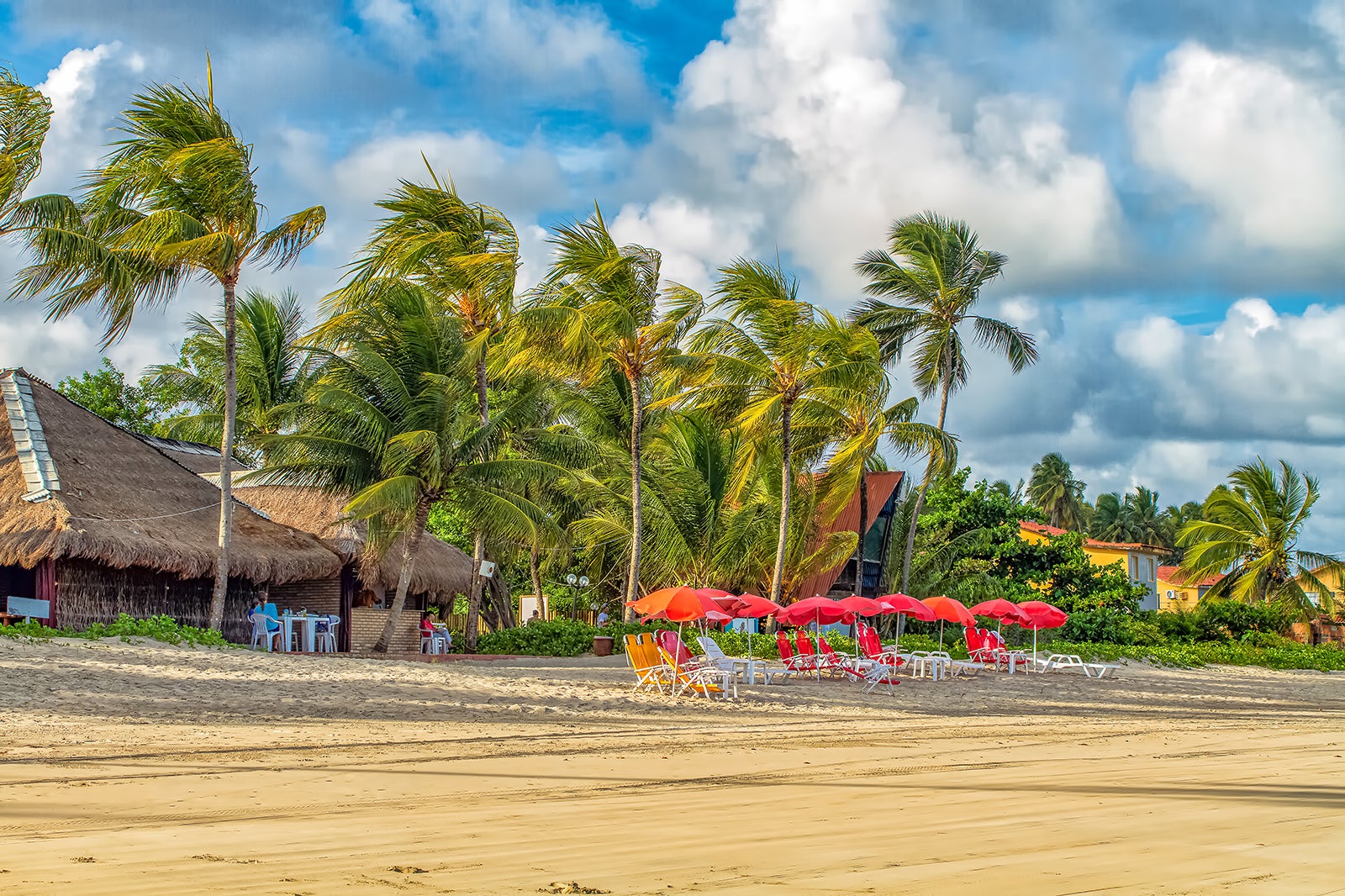 9 melhores coisas para fazer em Maragogi - Quais as principais atrações ...