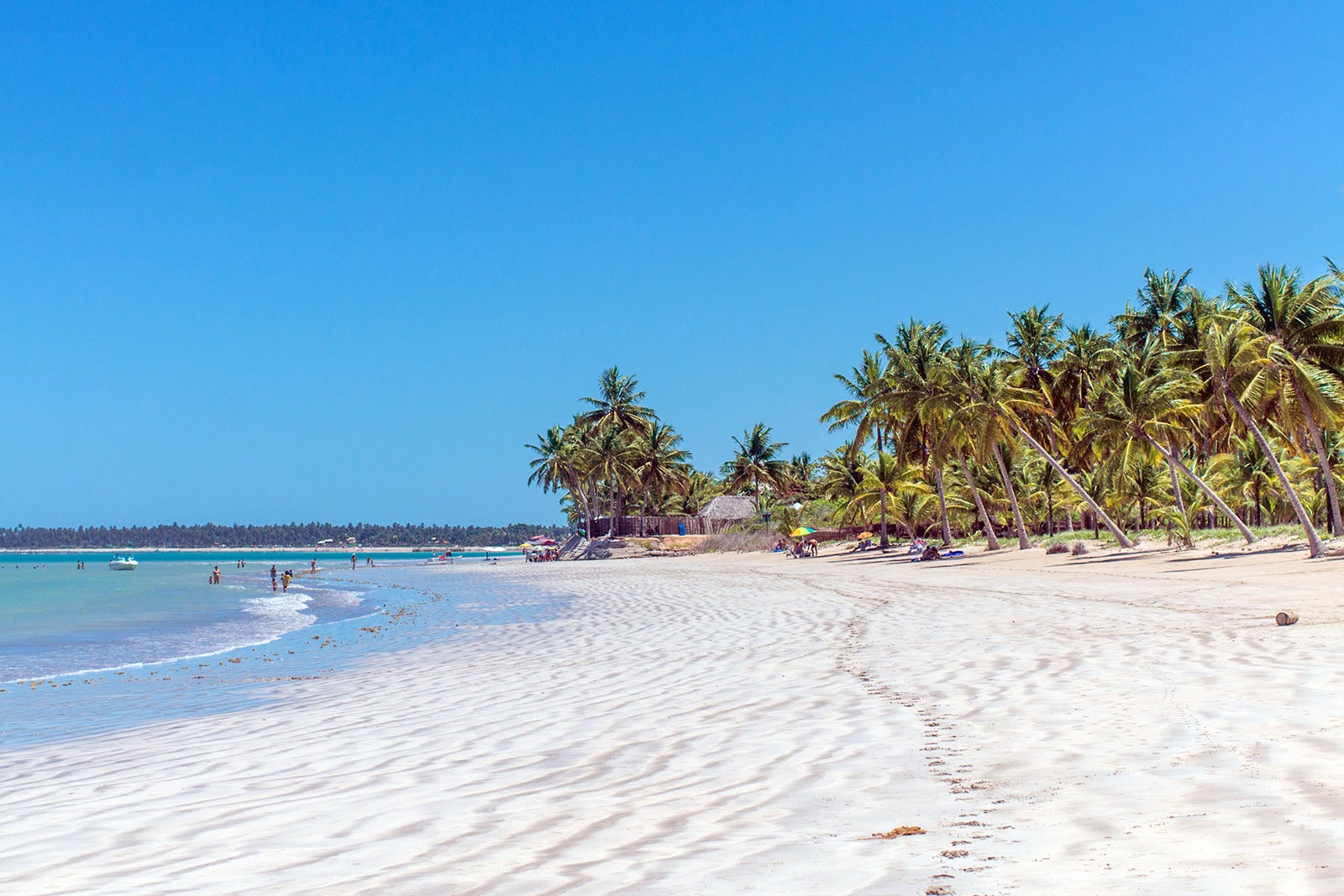 10 passeios imperdíveis para fazer em Maceió - Confira incríveis ...