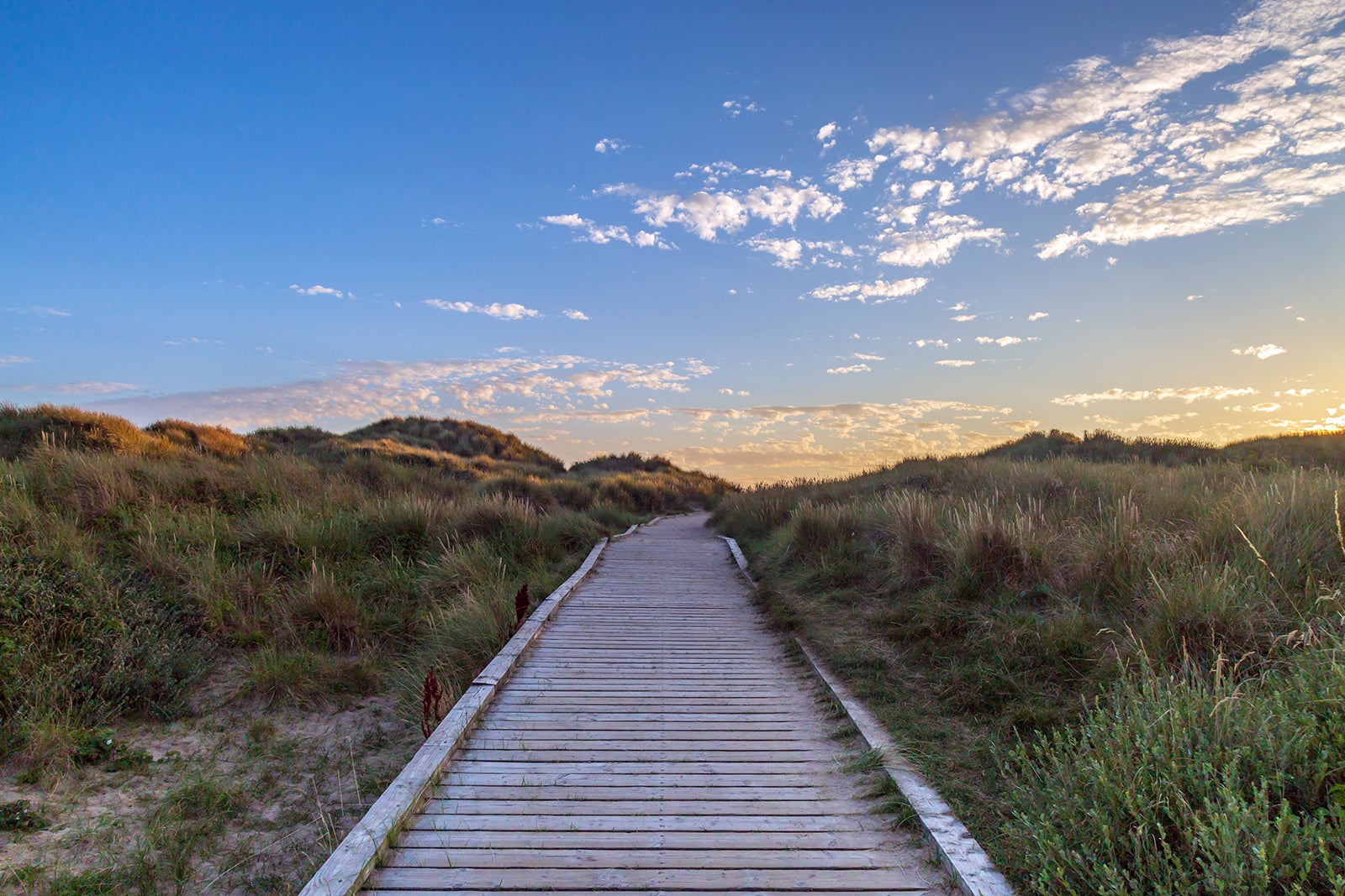 Formby in Liverpool - A Coastal Town Just North of Liverpool – Go Guides