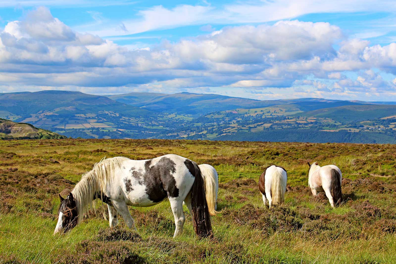 10 Best Mountains in Wales - What is the Most Popular Mountain in Wales ...