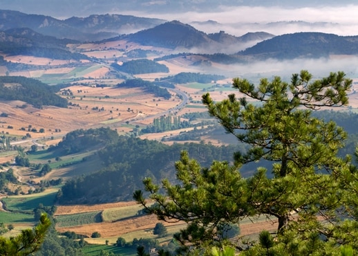 Top 10 Hotels in Adapazari, Turkey | Hotels.com