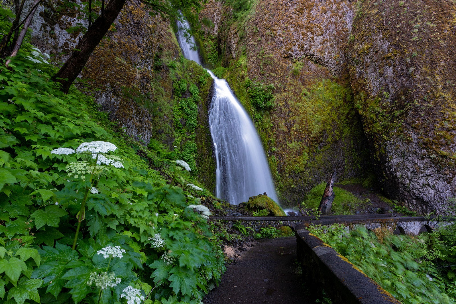 10 Best Waterfalls Near Portland - Explore Northwest Oregon’s Most ...