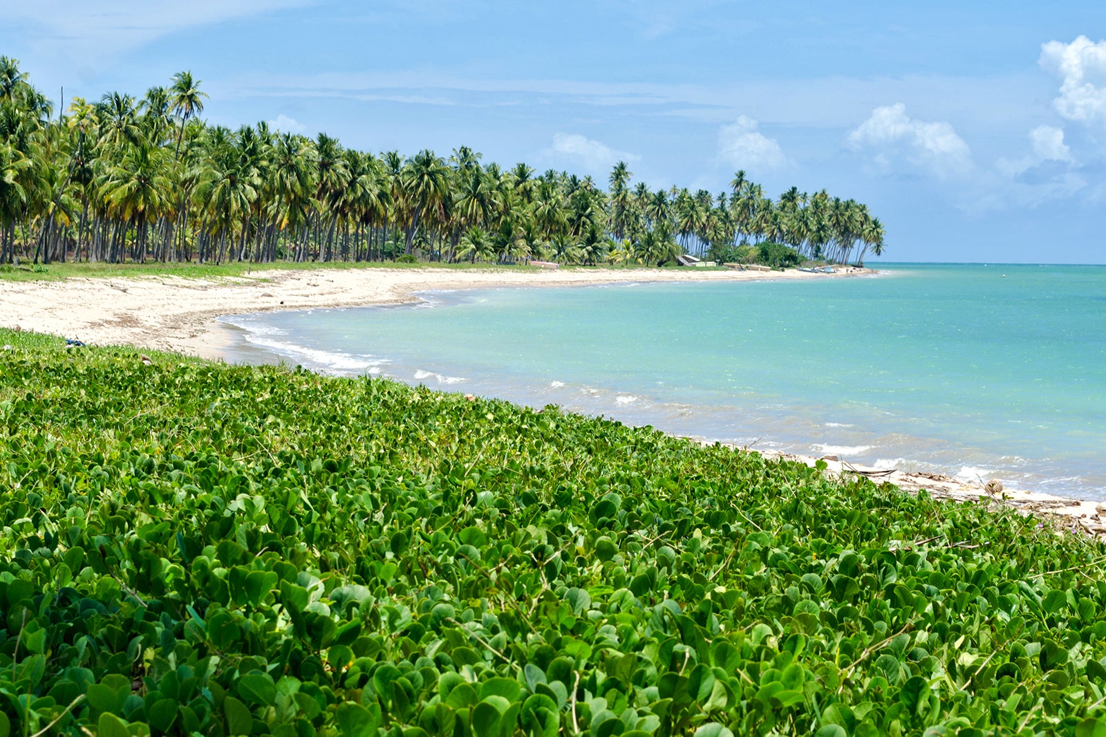 9 melhores praias do Nordeste - Conheça algumas das maravilhas do ...