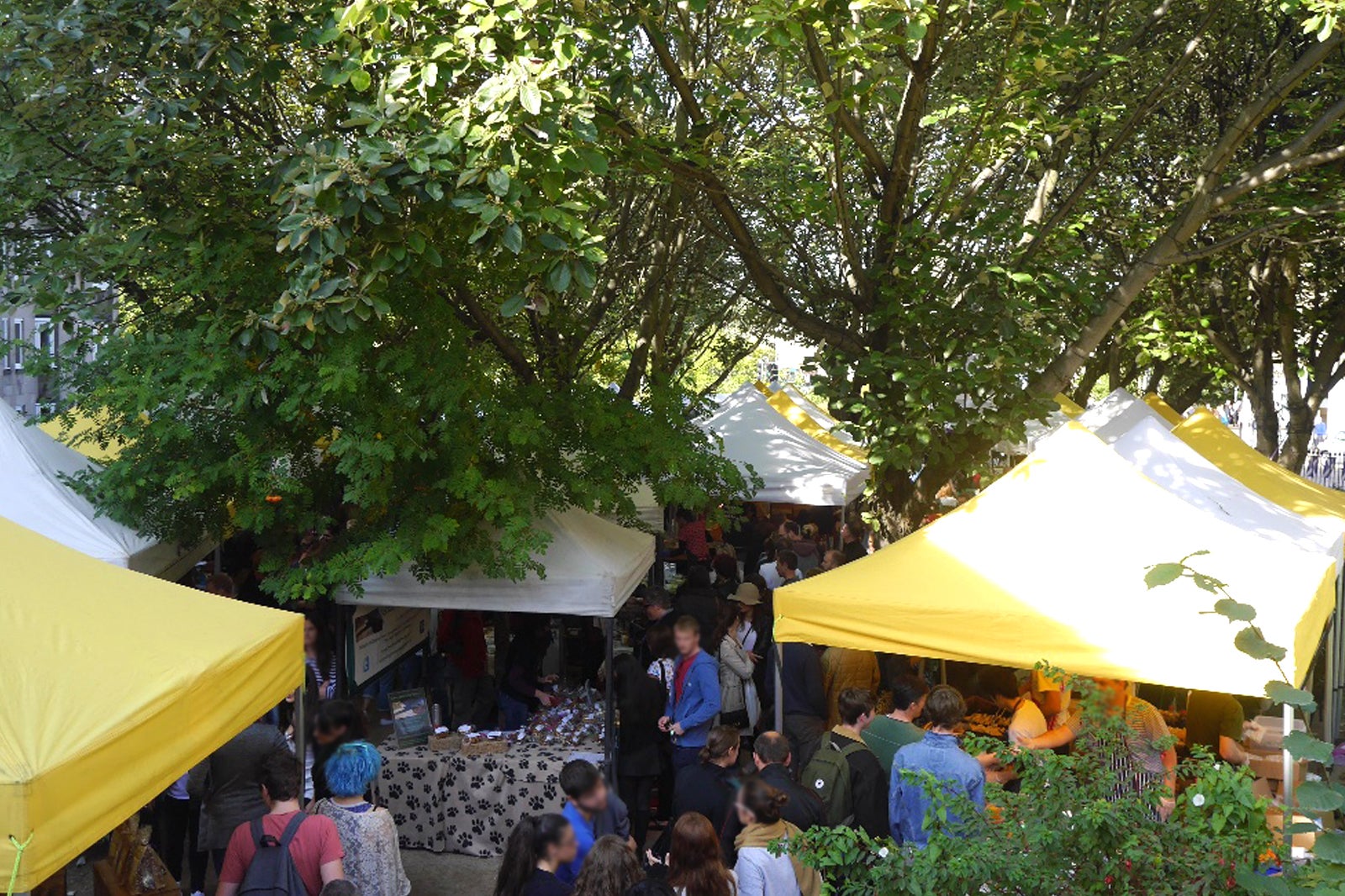 Stockbridge Market in Edinburgh - Shop at a Local Open-Air Market – Go ...