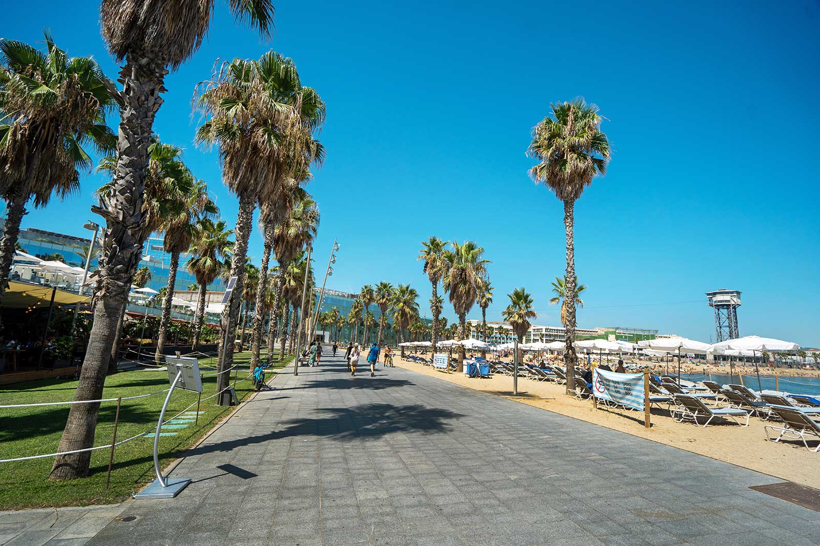 10 Best Scenic Walks in Barcelona - Take a Walk Around Barcelona’s ...