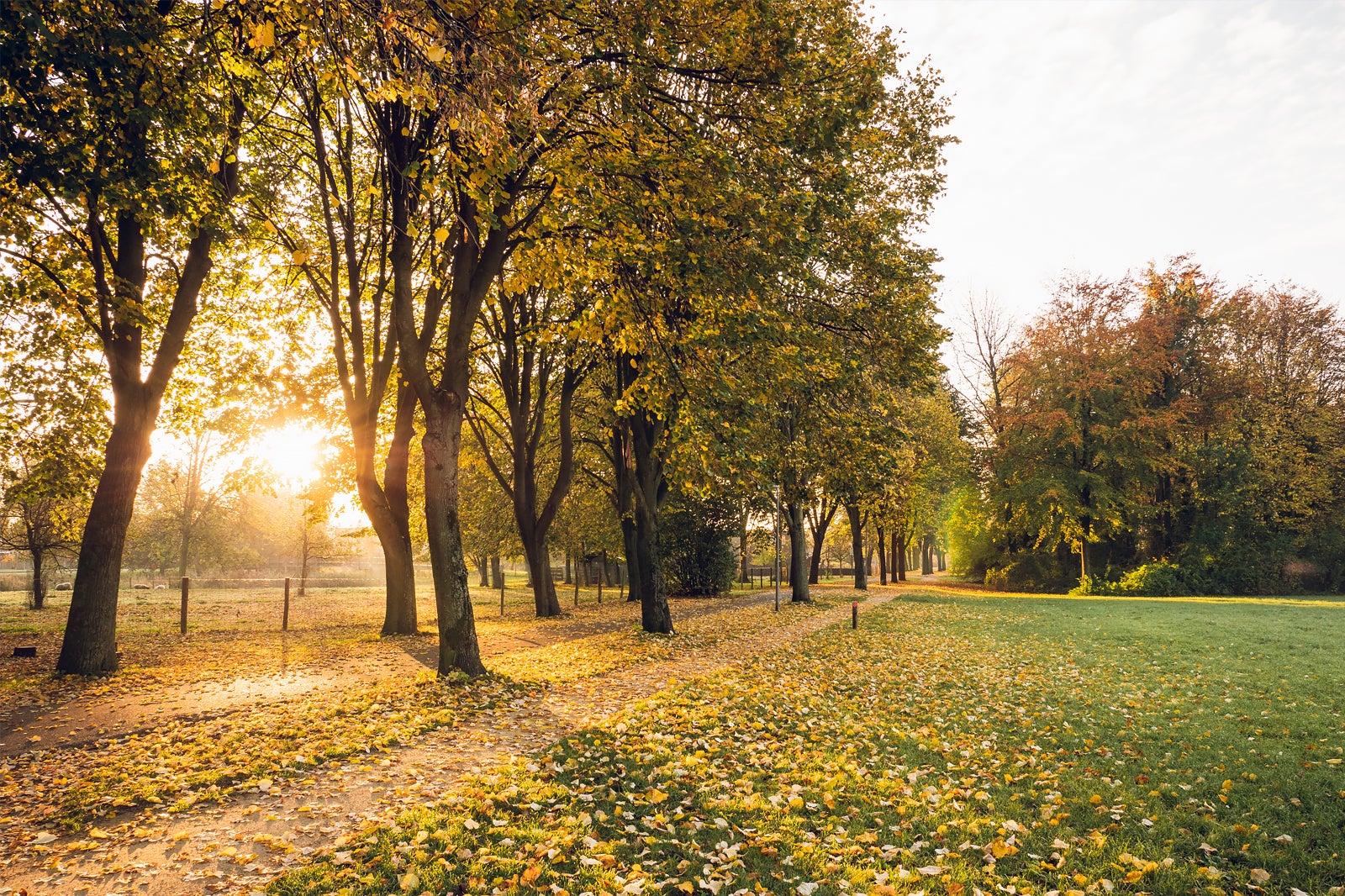 Beatrixpark - One of the Nicest Parks in Amsterdam – Go Guides