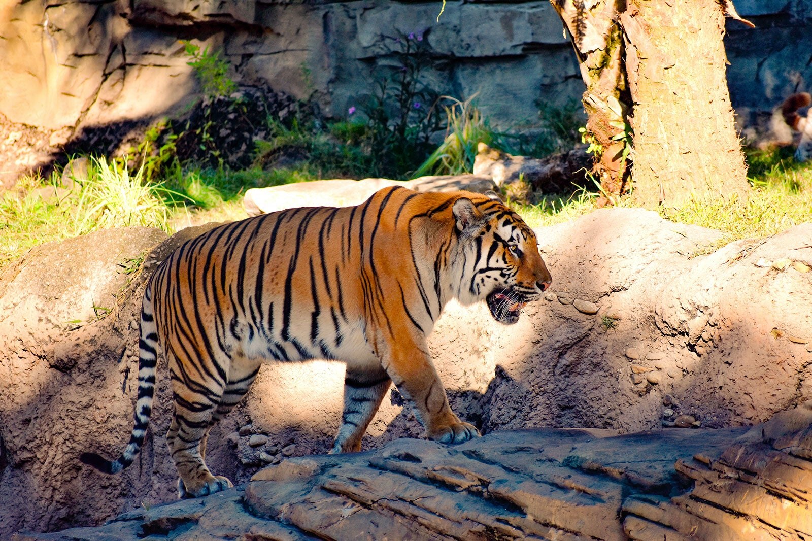 10 Best Things to Do in Florida - What is Florida Most Famous For? – Go ...