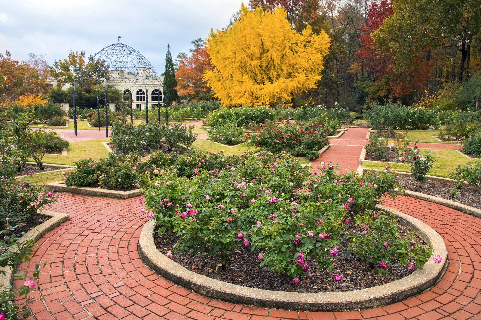 Birmingham Botanical Gardens - Walk 6 Hectares of Colourful Flora and ...
