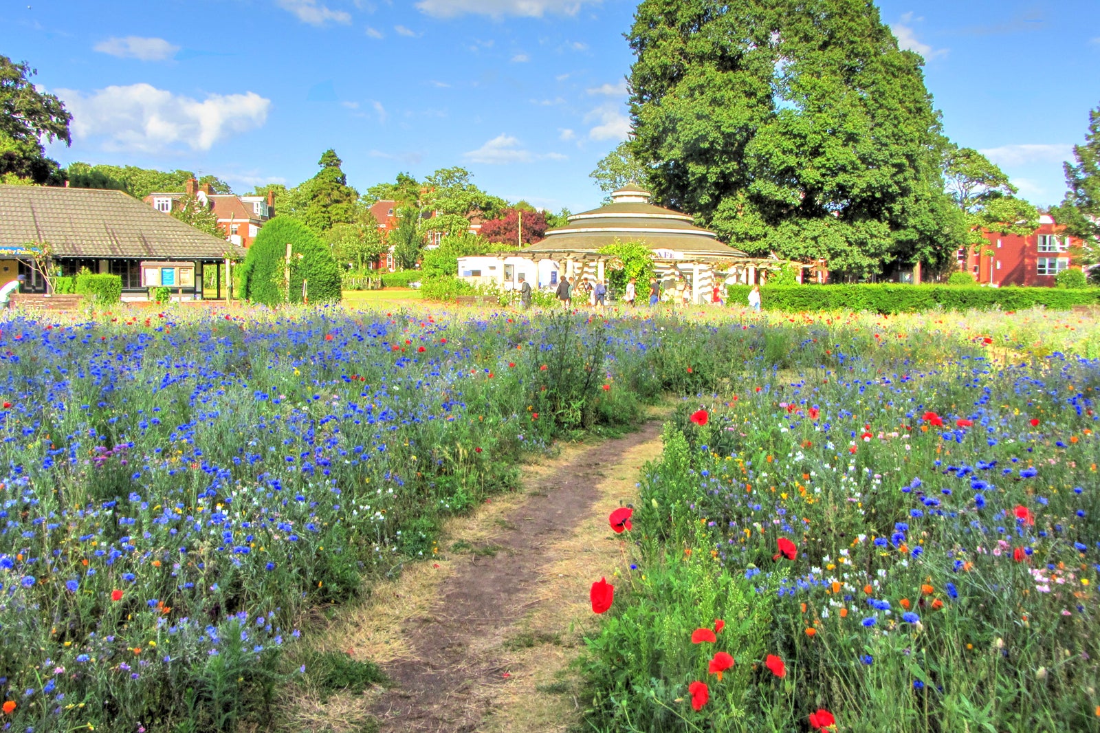 10 Best Things to Do for Couples in Brighton - What to Do on a Romantic ...