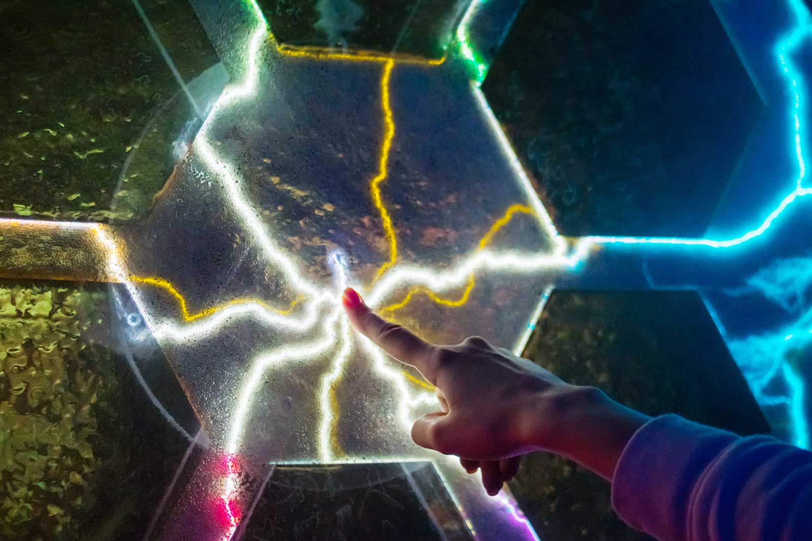 10 Best Museums in Calgary - Where to Discover Calgary's History, Art ...