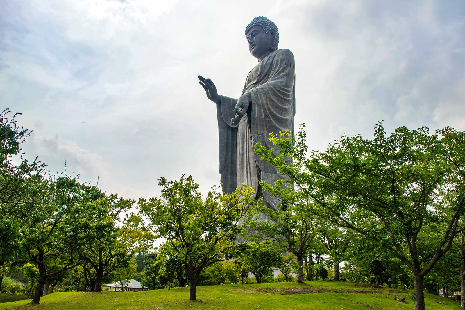 10 Revered Buddhas in Japan - Discover the Most Famous Buddhas in Japan ...