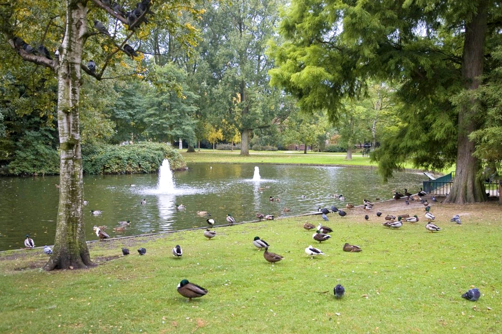 Westerpark - Visit a Park So Nice They Named the Neighbourhood After It ...