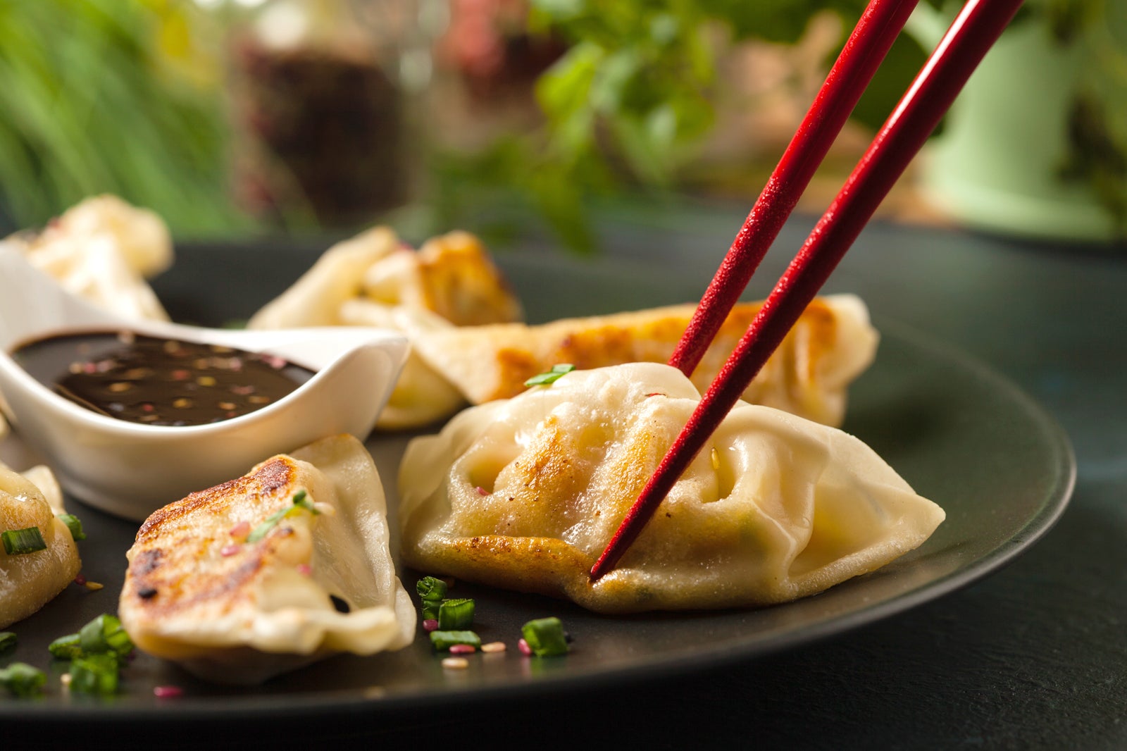 10 Great Restaurants in Nagasaki - Where to Eat in Nagasaki and What to ...