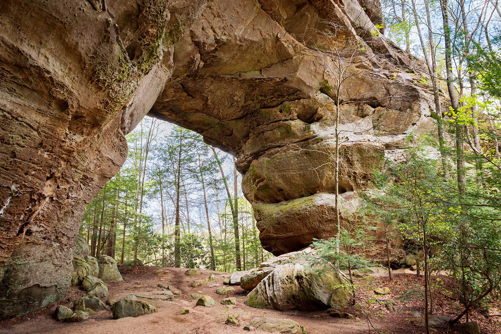 8 Best National Parks in Tennessee - Escape to Tennessee’s Most ...