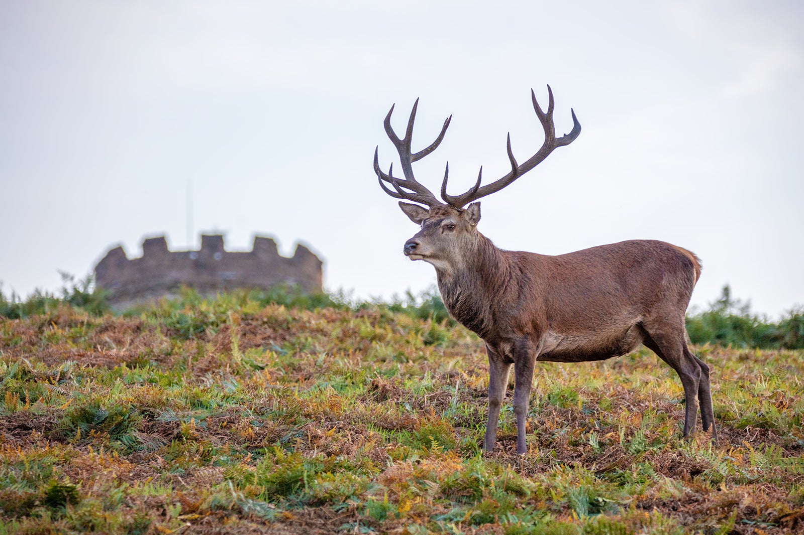 10 Best Things to Do in Leicester - What is Leicester Most Famous For ...