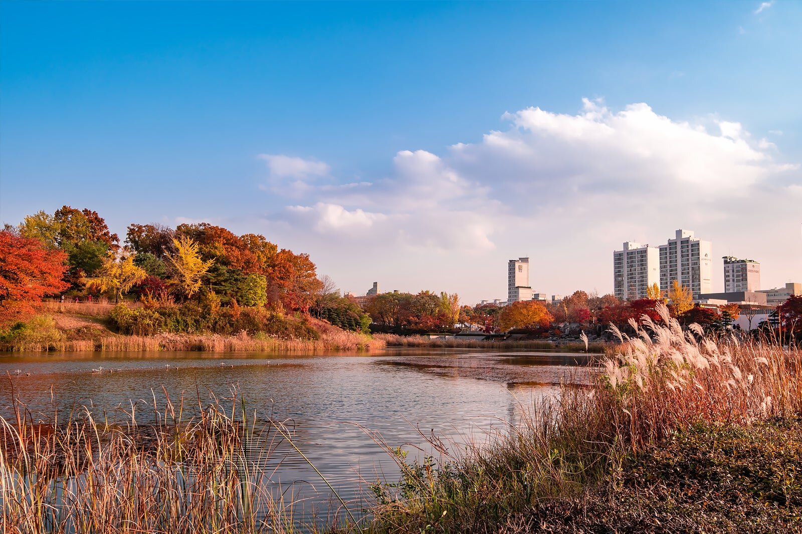 10 Best Parks in Seoul - Explore Seoul's Most Beautiful Outdoor Spaces ...