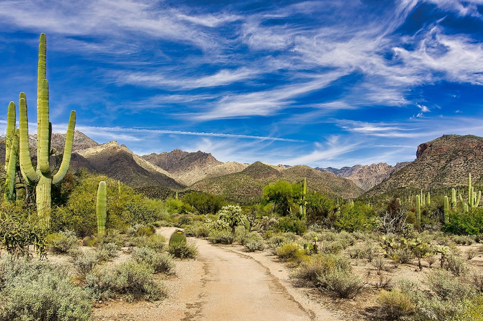 11 Best Things To Do In Tucson What Is Tucson Most Famous For Go 11-best-things-to-do-in-tucson-what-is-tucson-most-famous-for-go