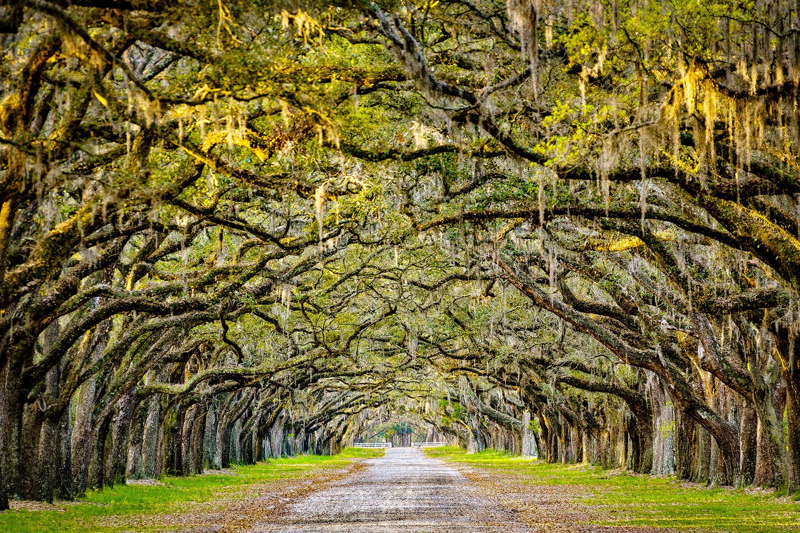 10 Best Natural Wonders in Georgia - Escape to Georgia's Most Beautiful Landscapes – Go Guides