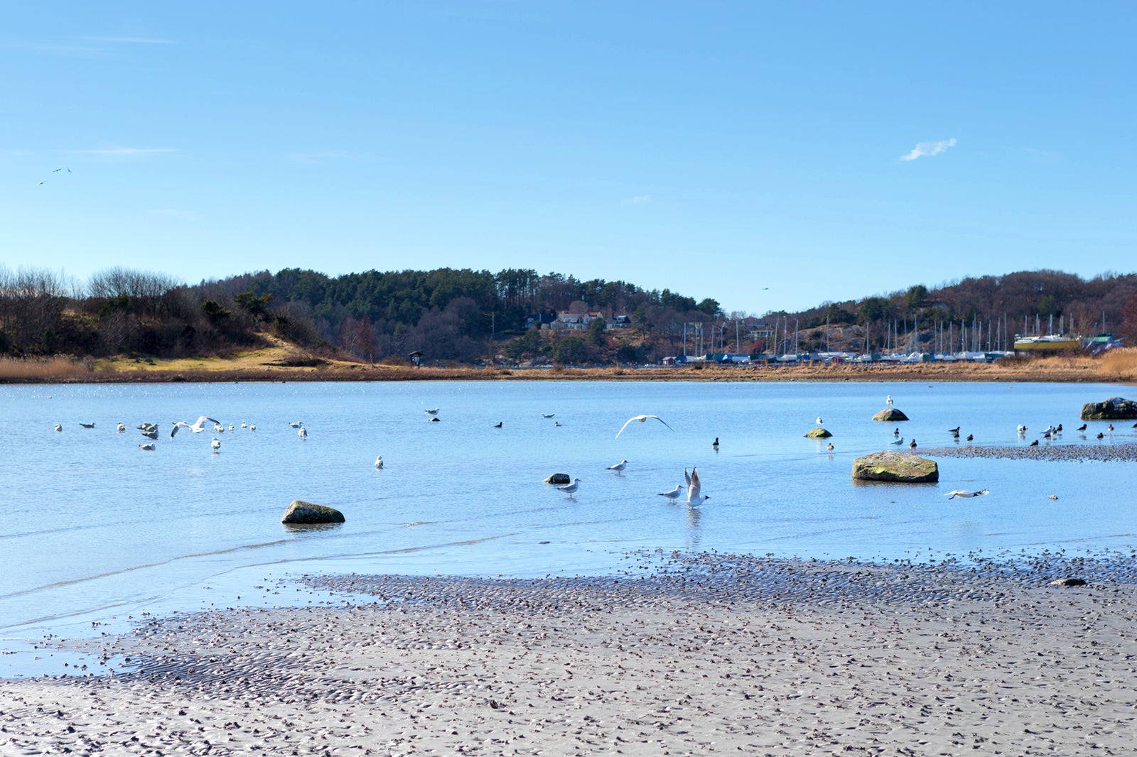 Askim vid Göteborg - Naturskön stadsdel söder om Göteborg - Go Guides