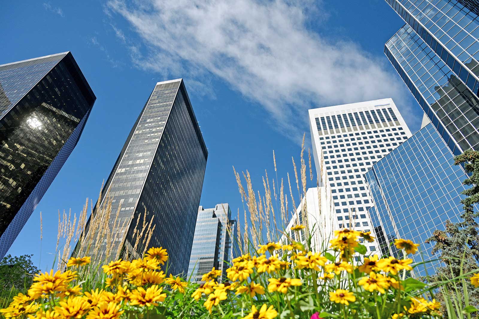 10 Best Things to Do in Downtown Calgary - What is Downtown Calgary ...