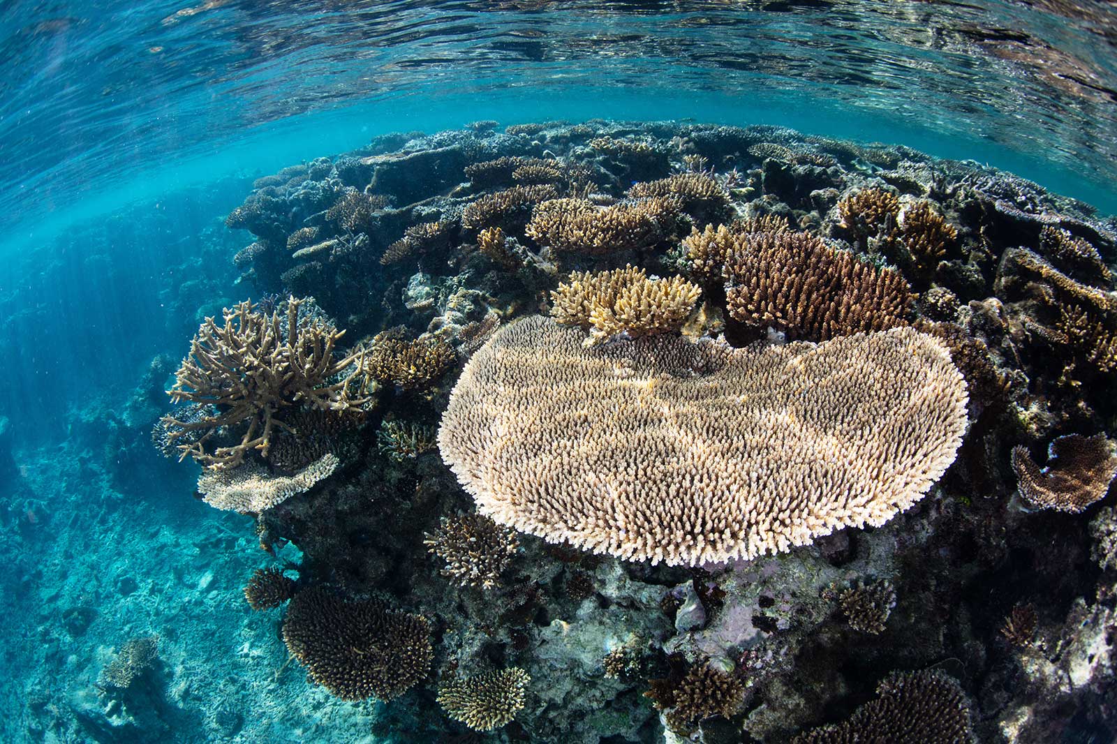 10 Best Beaches in Fiji - What is the Most Popular Beach in Fiji - Go ...