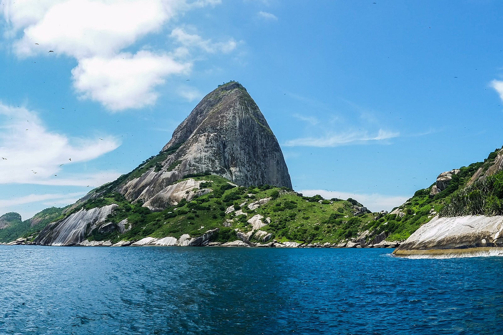 Arquipélago de Alcatrazes em São Sebastião - Um paraíso do ecoturismo ...