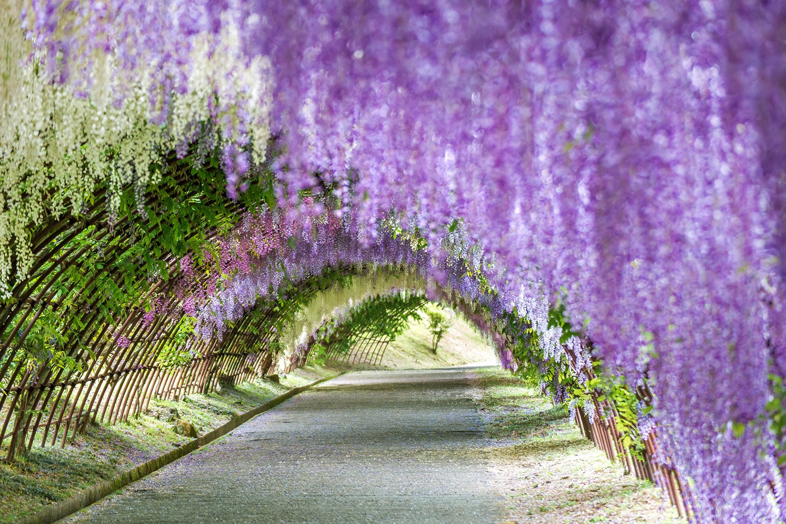 10 Best Things to Do in Kitakyushu - What is Kitakyushu Most Famous For ...