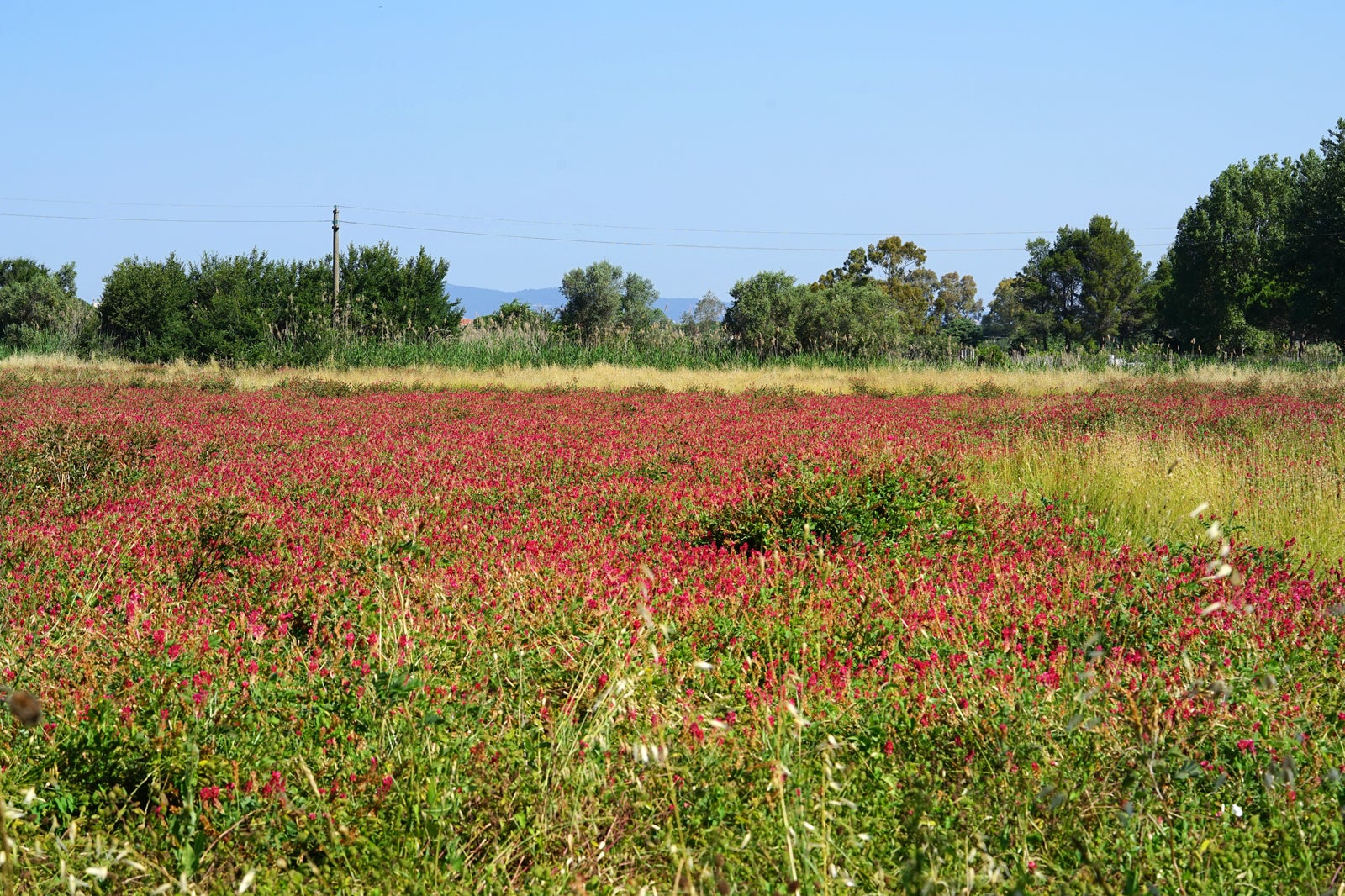 10 Best Natural Sights around Florence - Escape to Florence’s Most ...