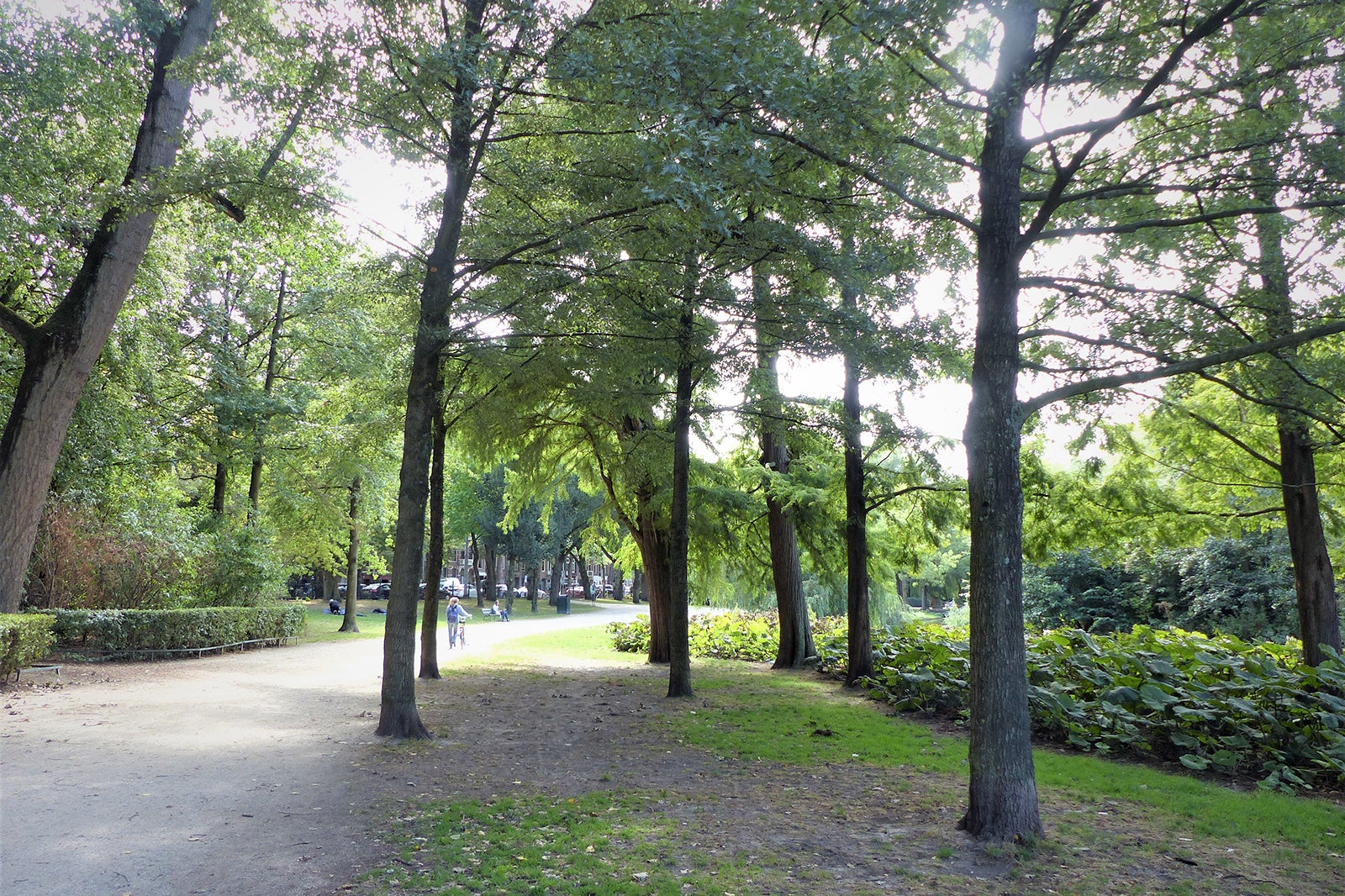 Sarphatipark in Amsterdam - Take a stroll in Amsterdam - Go Guides