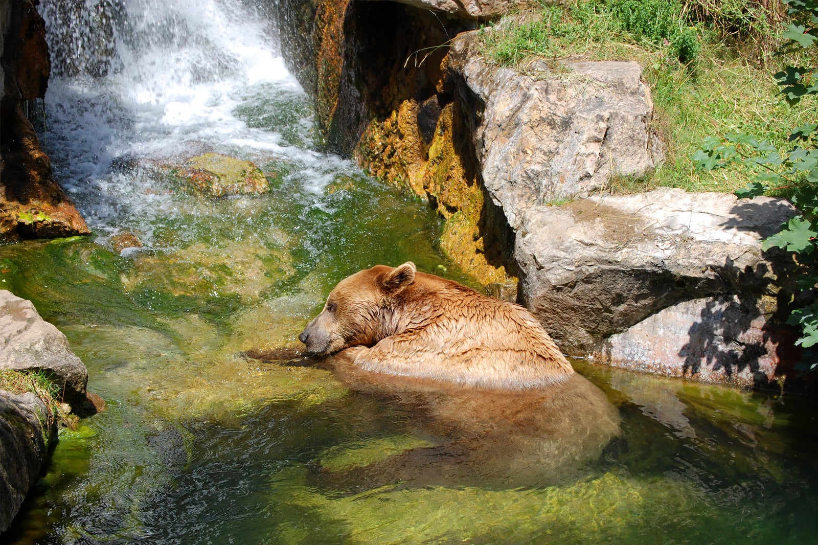 10 Best Things To Do in Big Bear Lake - What is Big Bear Lake Most ...