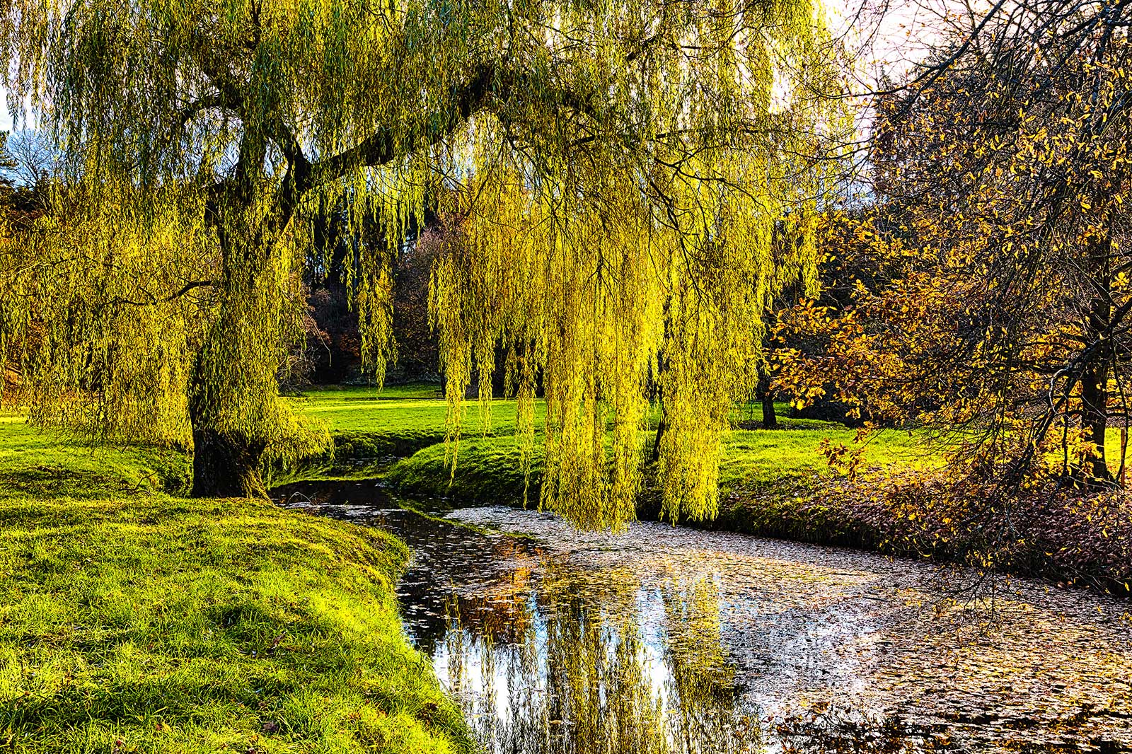 10 Best Parks in Cardiff - What are the Most Popular Parks in Cardiff ...