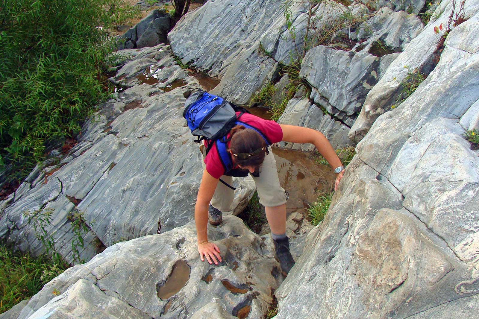 10 Best State and National Parks in Virginia - Escape to Virginia’s ...